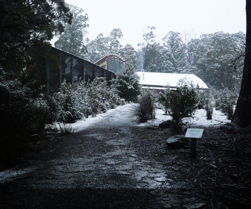 Tarraleah Tasmania